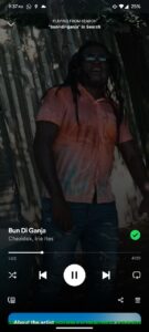 Spotify brings support for music videos in Kenya